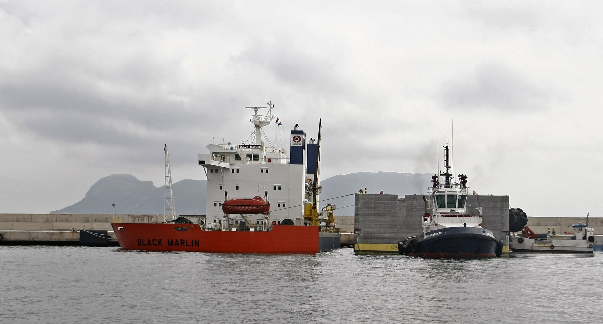 Boluda Towage and Salvage took part in the operation of transfer of 5 ...
