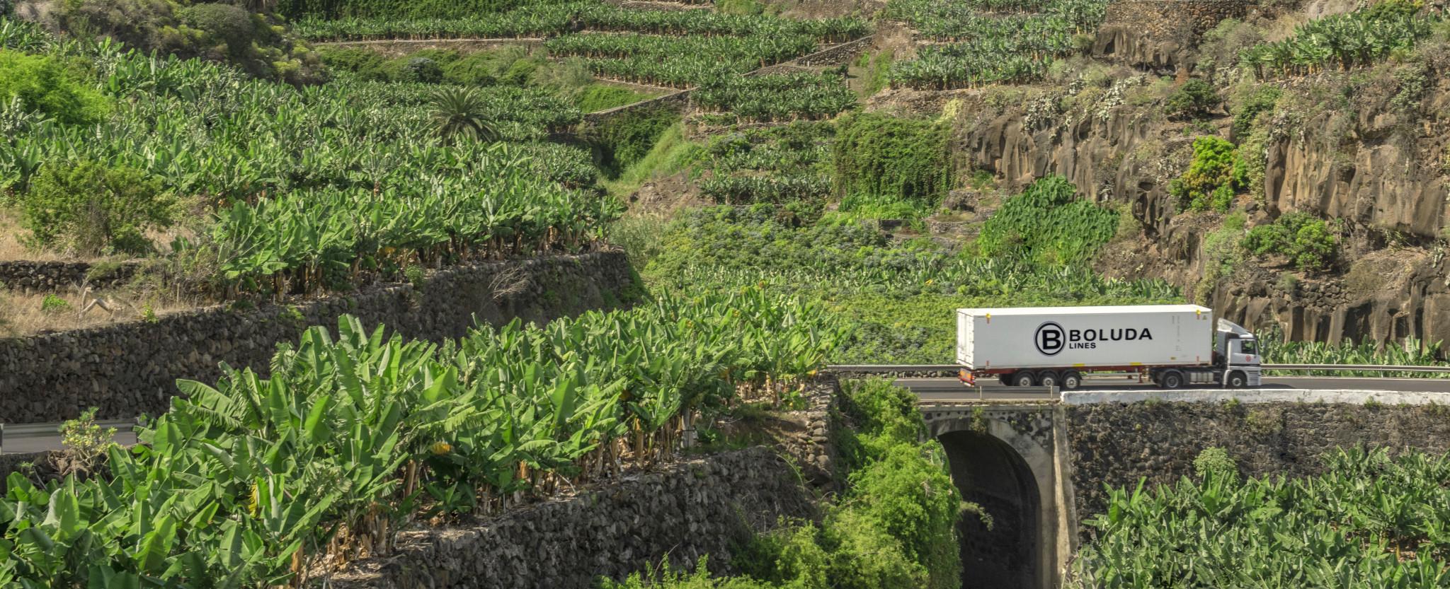 Boluda Lines to expand rail connections with new Madrid-Seville service ...