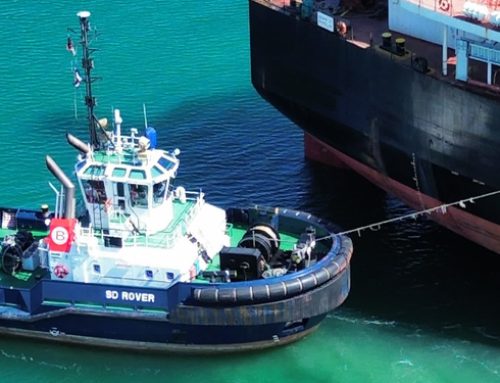 Boluda starts operations in Egypt - Boluda Corporación Marítima