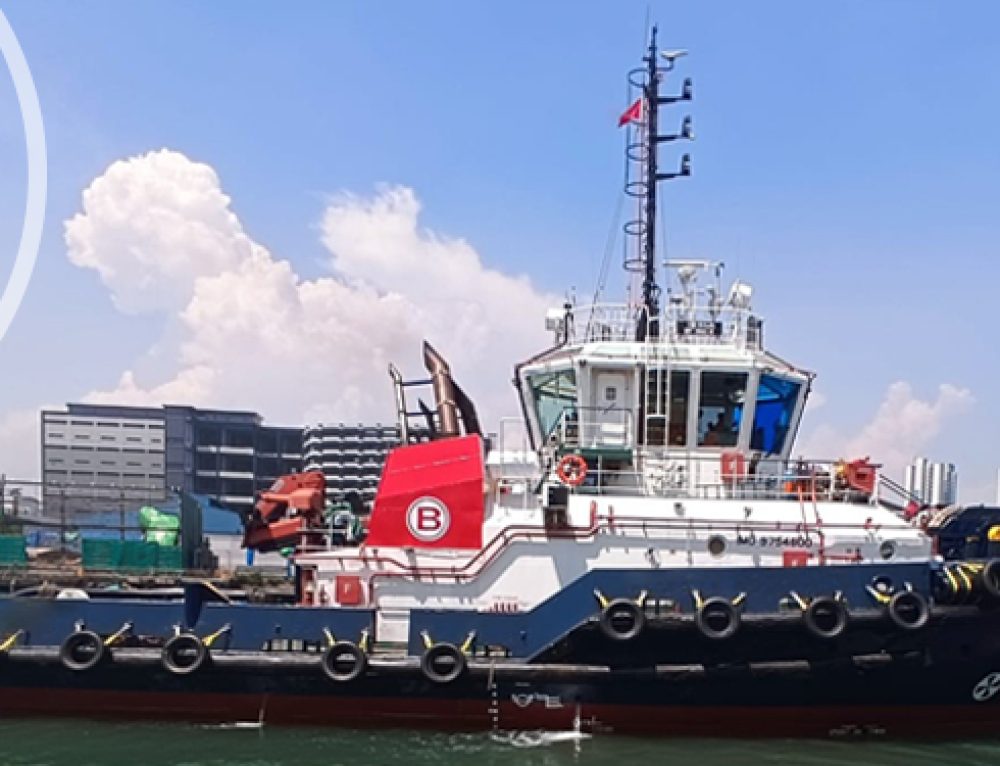 Boluda inaugurates the second phase of its container terminal in ...